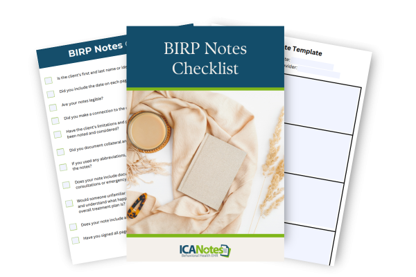 BIRP Notes Guide and Sample BIRP Notes