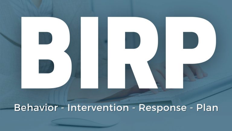 BIRP Notes Guide and Sample BIRP Notes