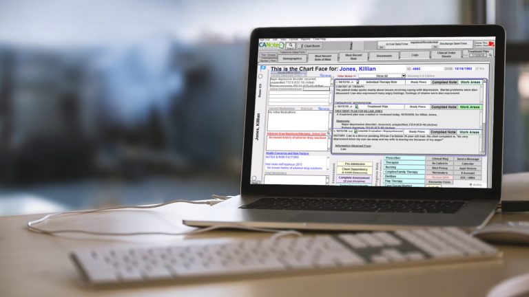 BIRP Notes Guide and Sample BIRP Notes