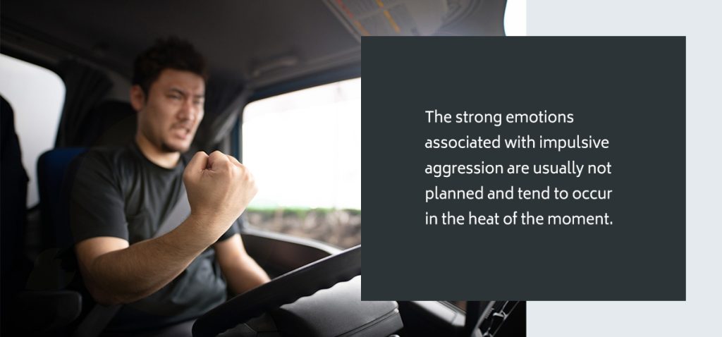 Managing Violent and Aggressive Behavior: Strategies for Mental Health ...