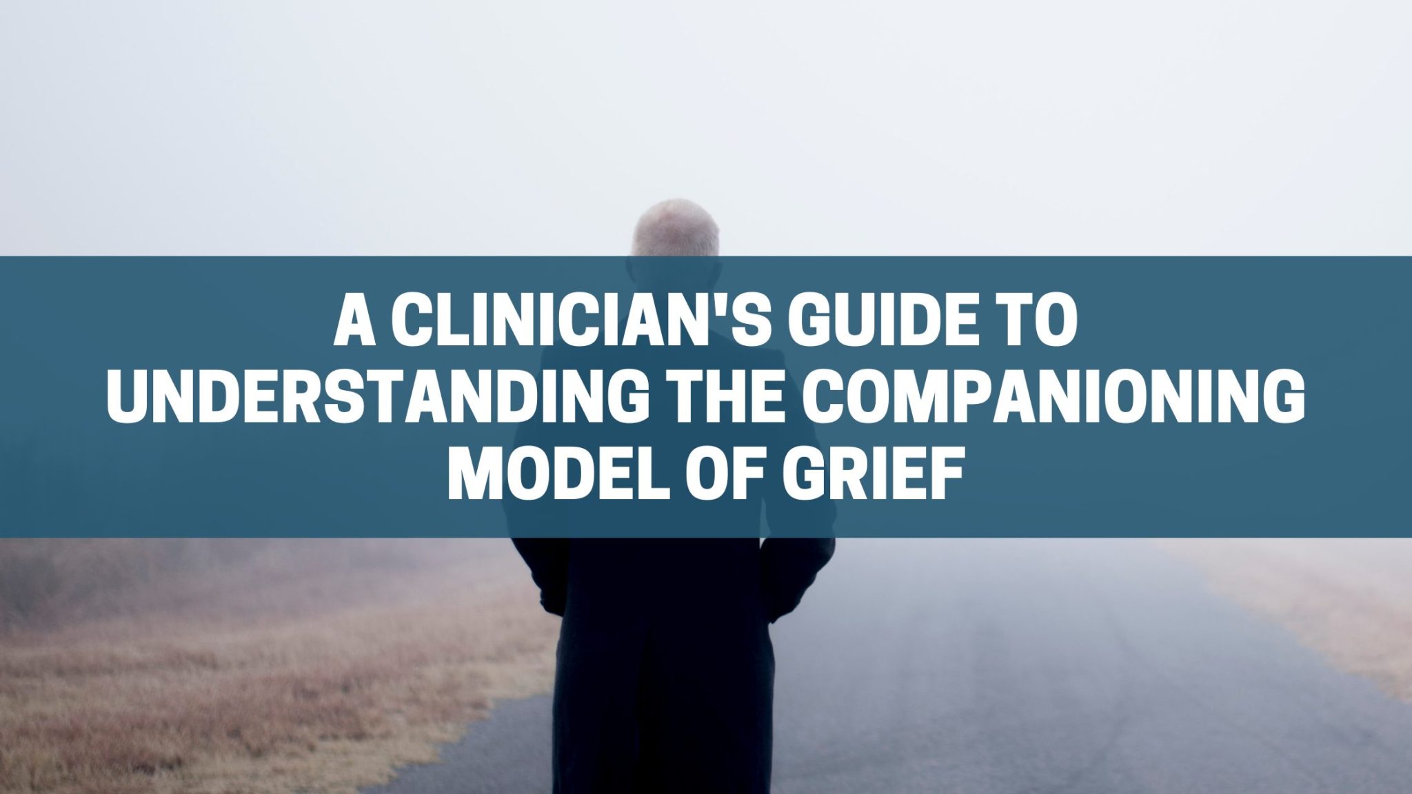 A Clinician's Guide to Understanding the Companioning Model of Grief ...