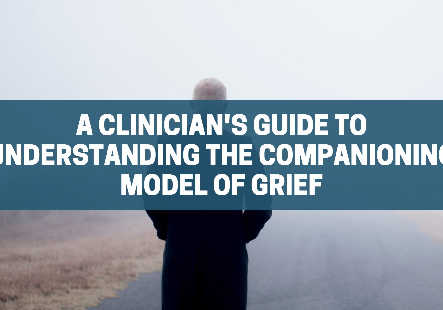 A Clinician's Guide to Understanding the Companioning Model of Grief ...